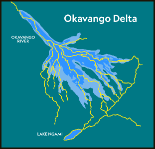 OKAVANGO DELTA - only where you have walked have you been