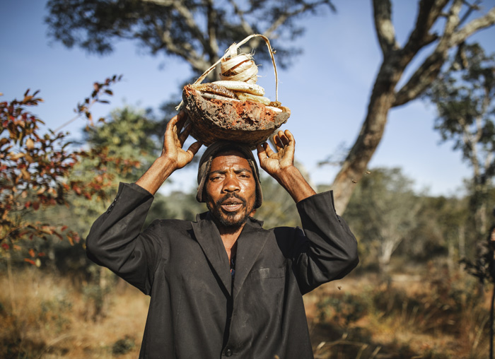 OKAVANGO DELTA - only where you have walked have you been