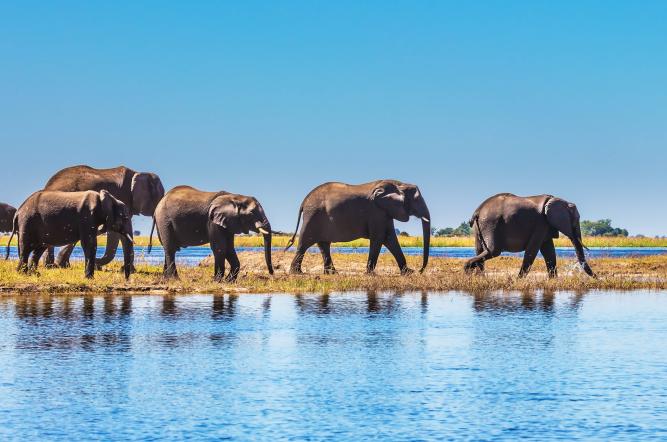 Kruger & Namibia Vacation & Travel Packages | National Geographic ...