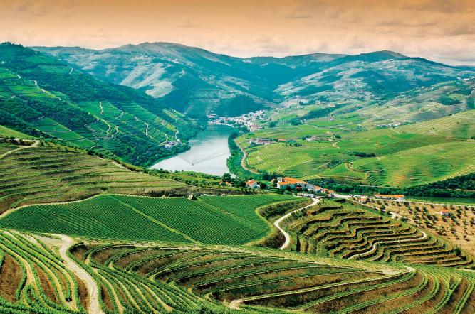 Douro River Cruise: Portugal River Cruises | National Geographic ...
