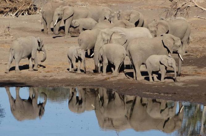 Wildlife Checklist | National Geographic Expeditions