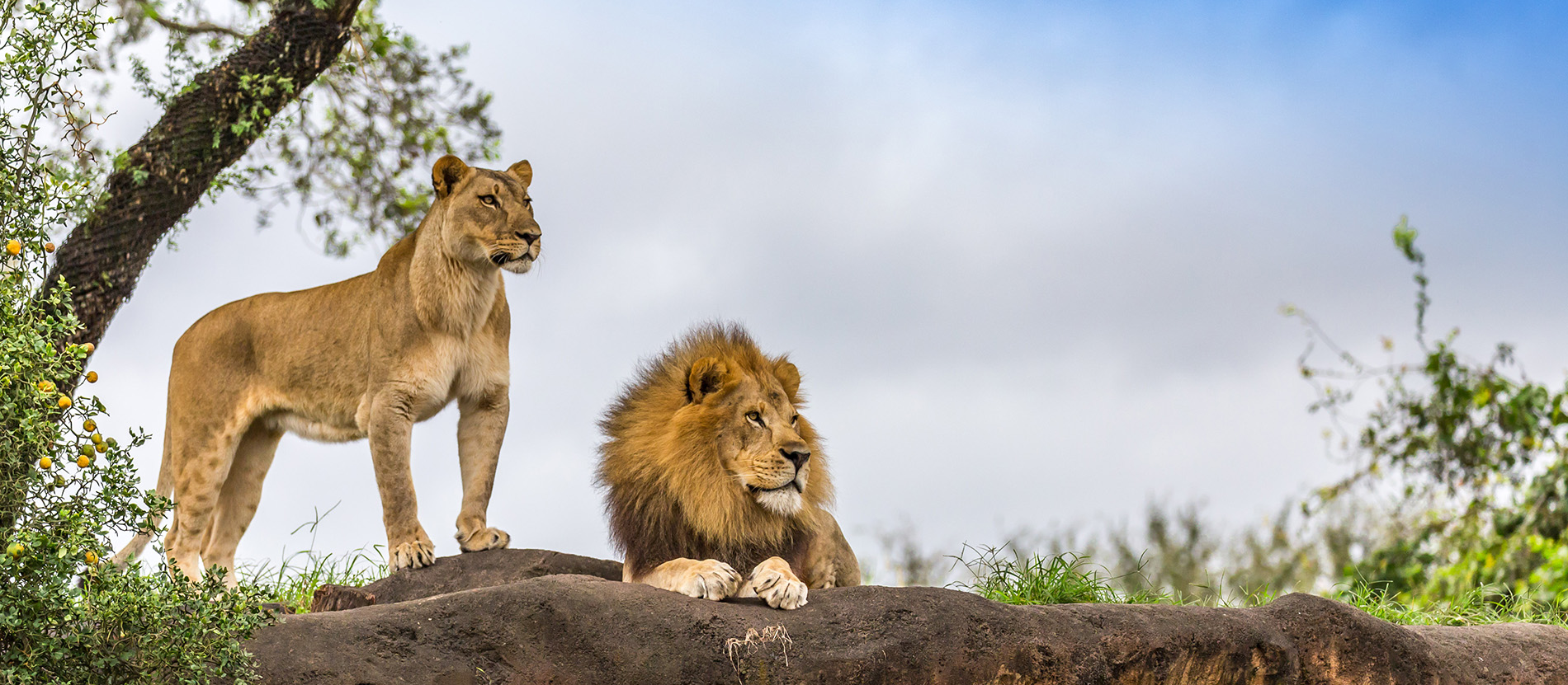 Southern Africa Family Vacation & Safari Packages | National Geographic ...