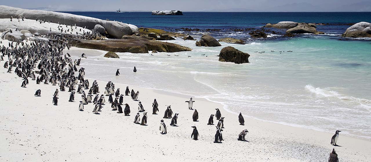 South Africa & Namibia Tours: Cape Town To Namibia Tours | National ...