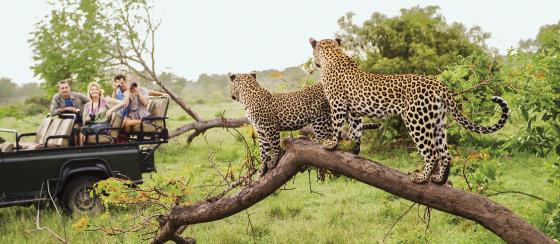 South Africa Tours & Guided Travel Vacations | National Geographic ...
