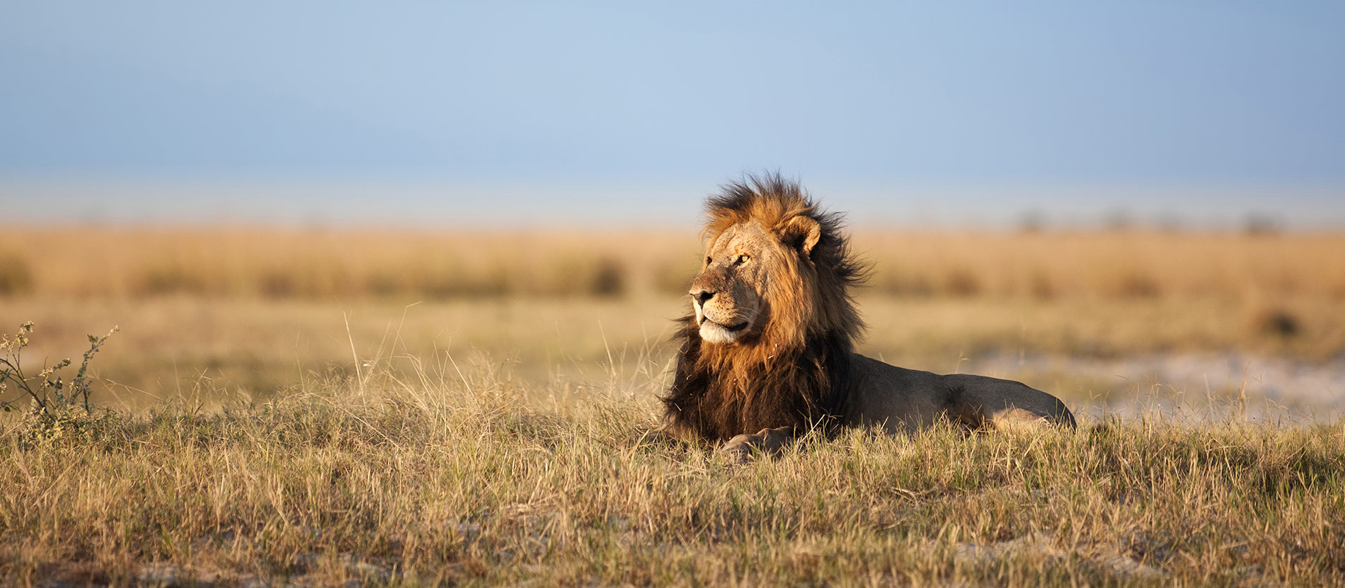 Southern Africa Highlights: Best African Safari Parks | National ...
