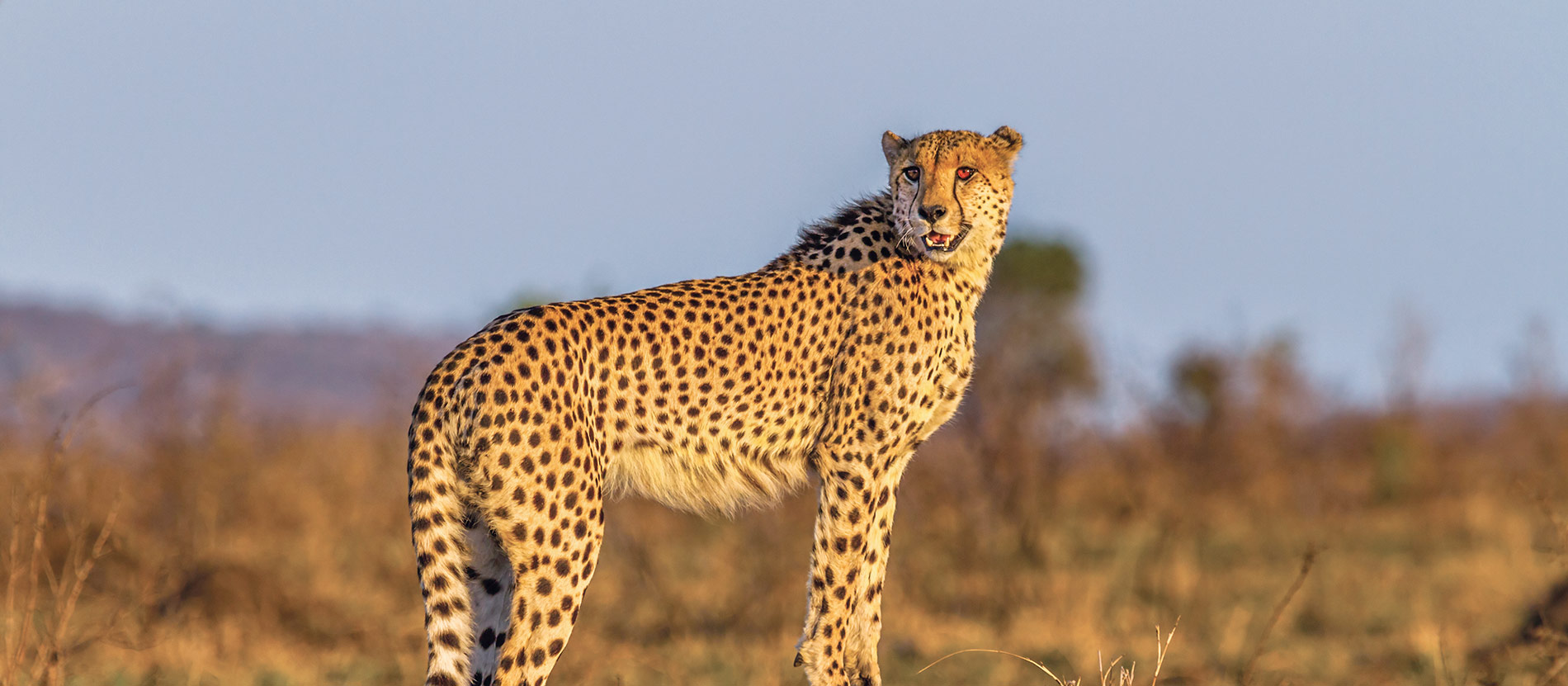 Namibia Trips: Etosha, Windhoek & Swakopmund Tour | National Geographic ...