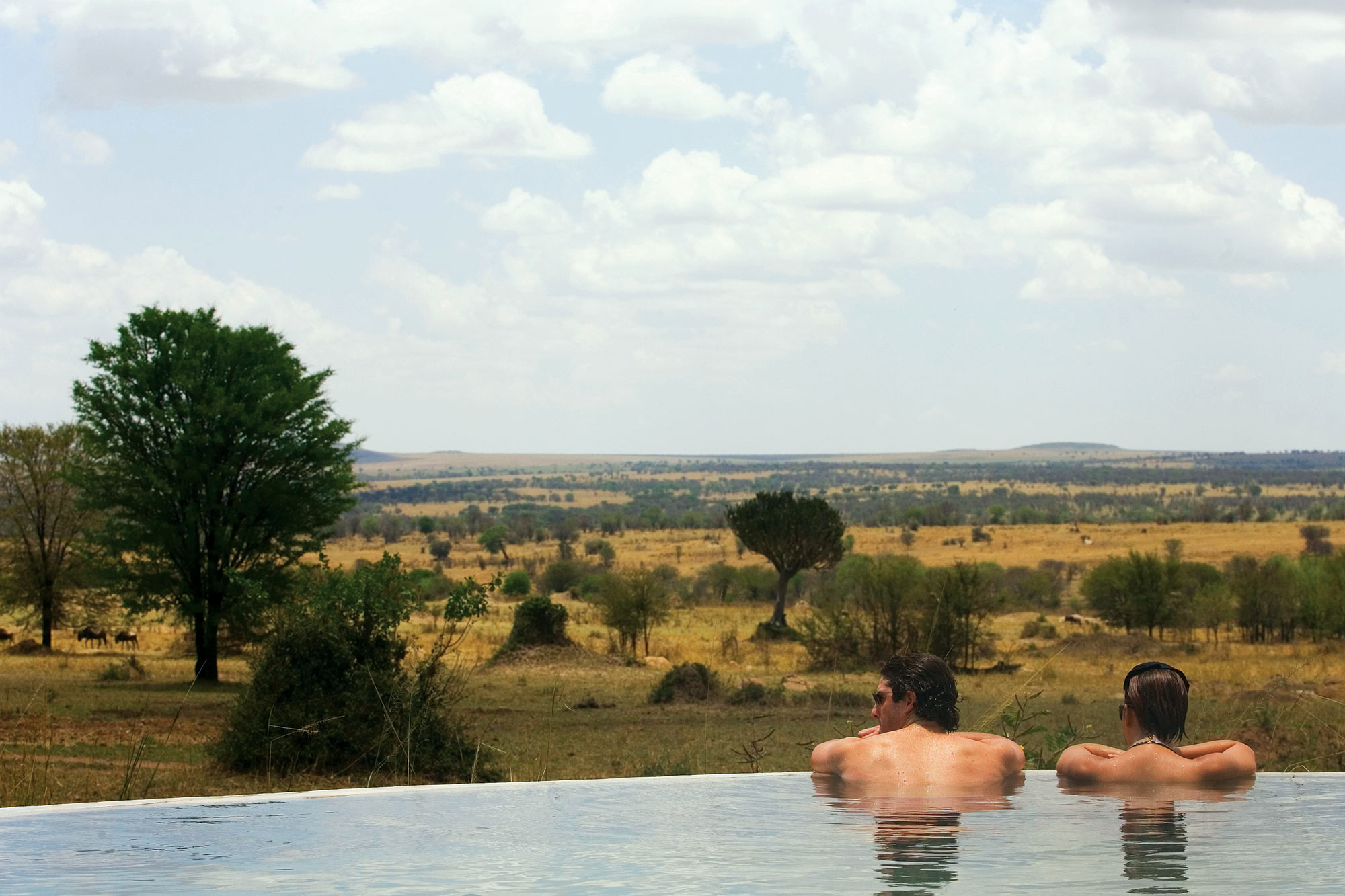 Tanzania Safari Tour: Great Migration Safari Packages | National ...