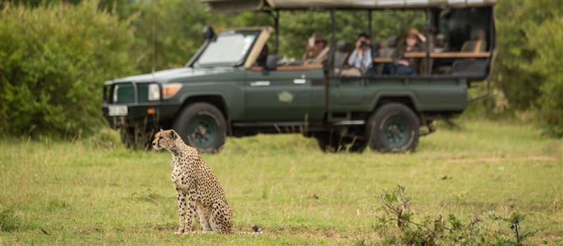 Tanzania Safari Tour: Great Migration Safari Packages | National ...