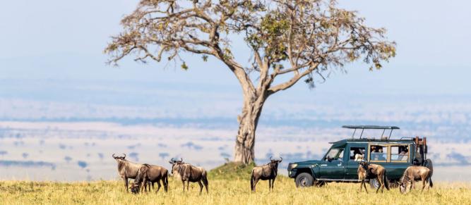 Wildlife and Wonders of Africa by Private Jet | Trips | National ...