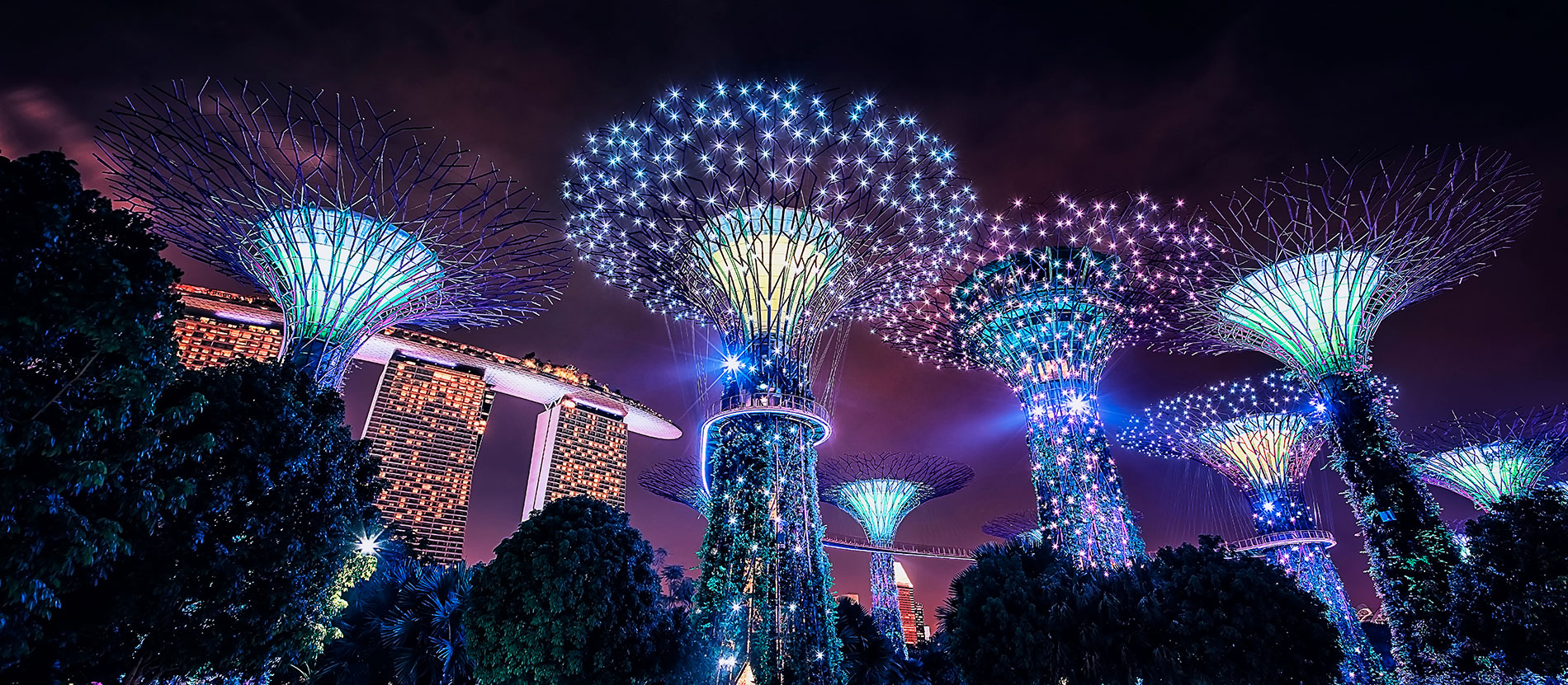 Private Jet Around the World Trip with WSJ | National Geographic ...