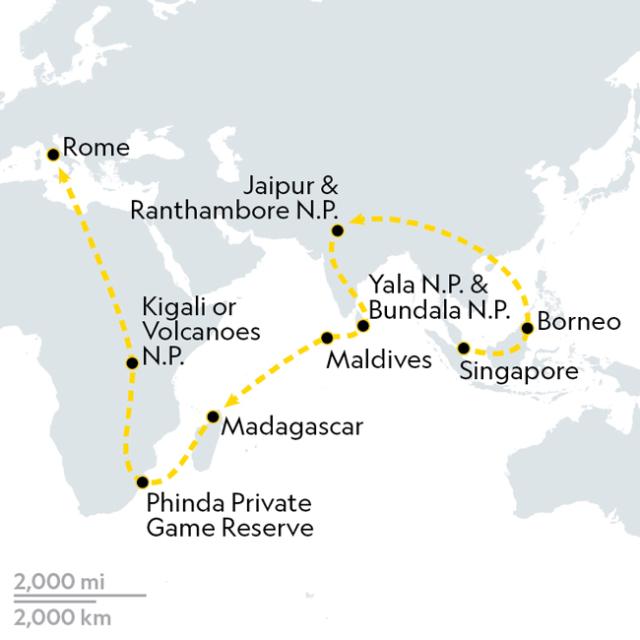 Wildlife Tour to Africa & Asia by Private Jet | National Geographic ...