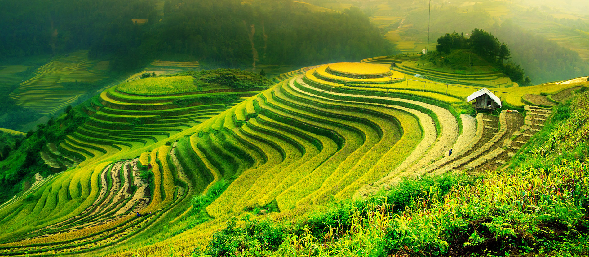 Trips to Vietnam | National Geographic Expeditions