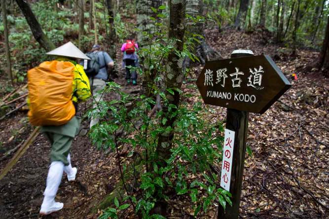 Japan Hiking Adventure Tours & Trips | National Geographic Expeditions
