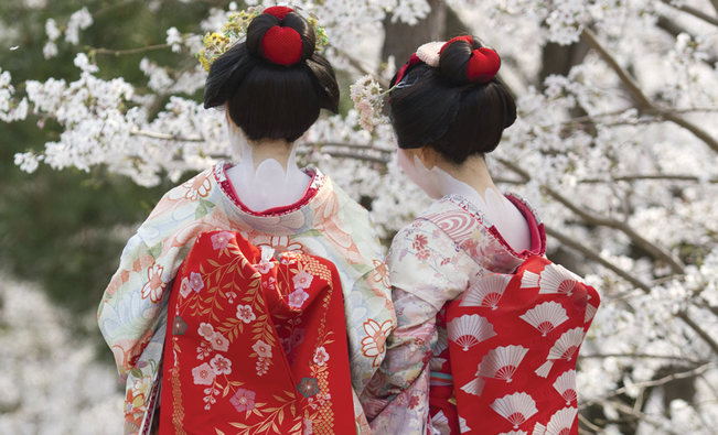 Japan Photography Tour & Workshop | National Geographic Expeditions