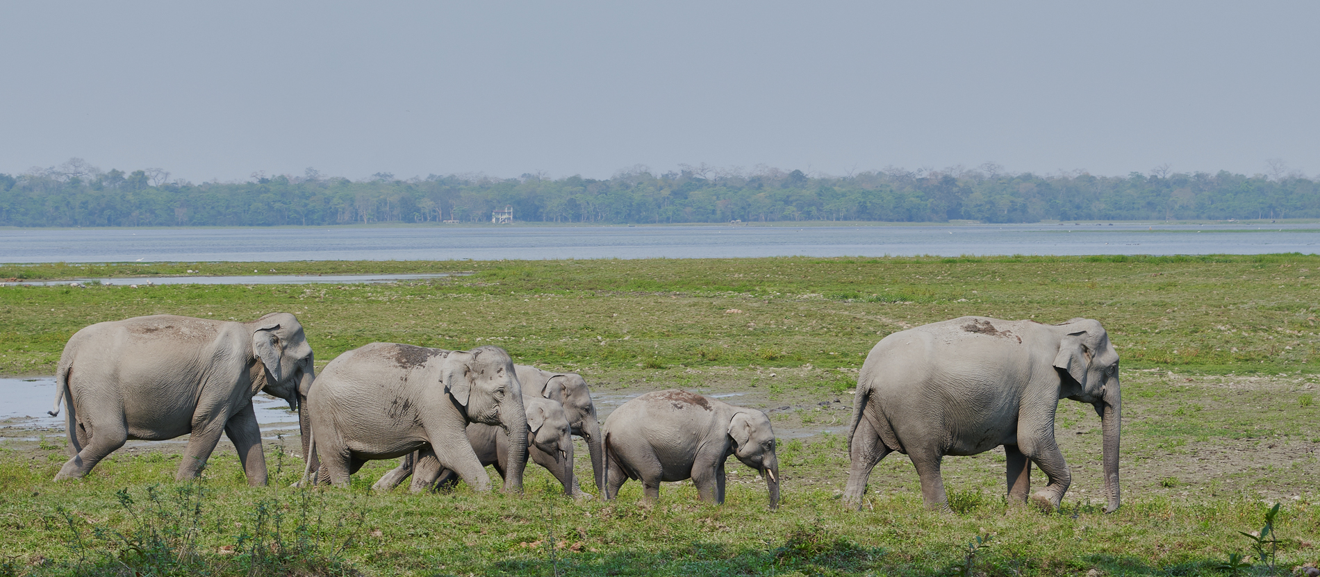11-day Cruise to India | National Geographic Expeditions