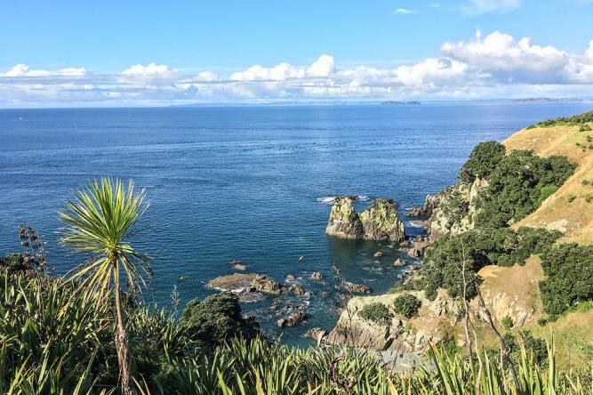 New Zealand Wildlife Safari & Tour | National Geographic Expeditions