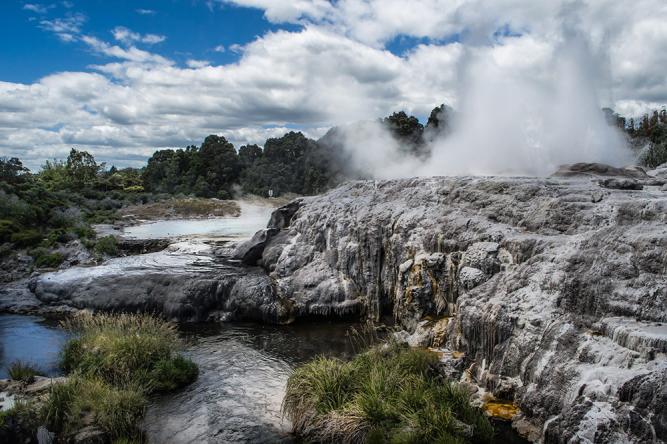New Zealand Wildlife Safari & Tour | National Geographic Expeditions