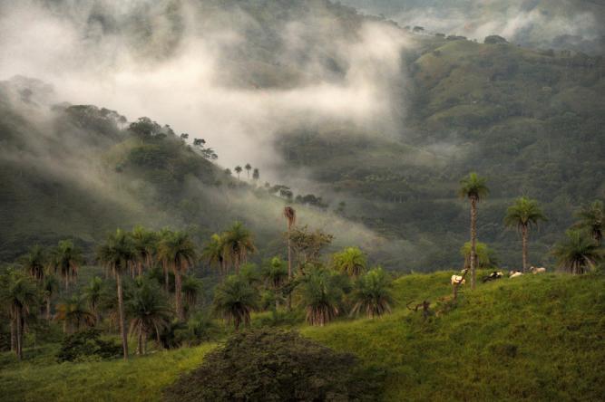 San Jose Costa Rica Wildlife Vacation | National Geographic Expedition
