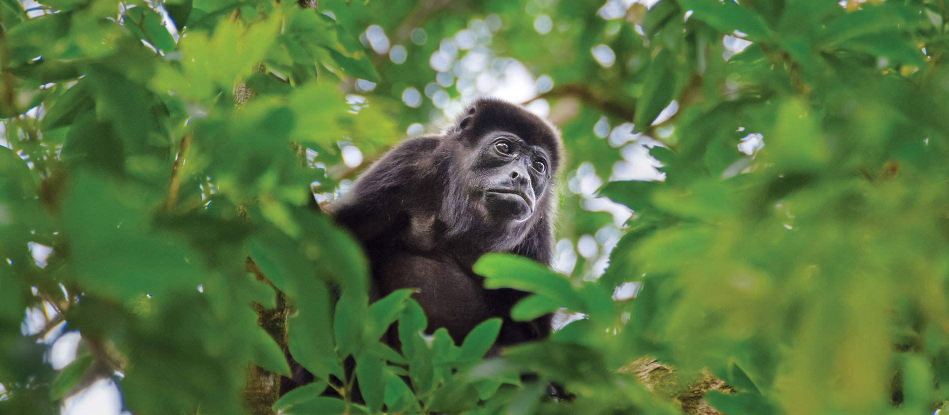 Panama Canal To Cartagena Colombia Cruise | National Geographic Expeditions