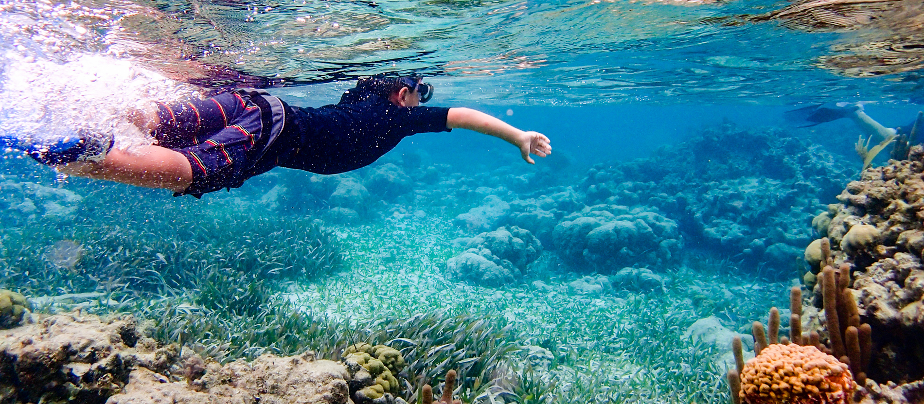 Belize Family Journey: Rainforests, Beaches & Ancient Caves | National ...
