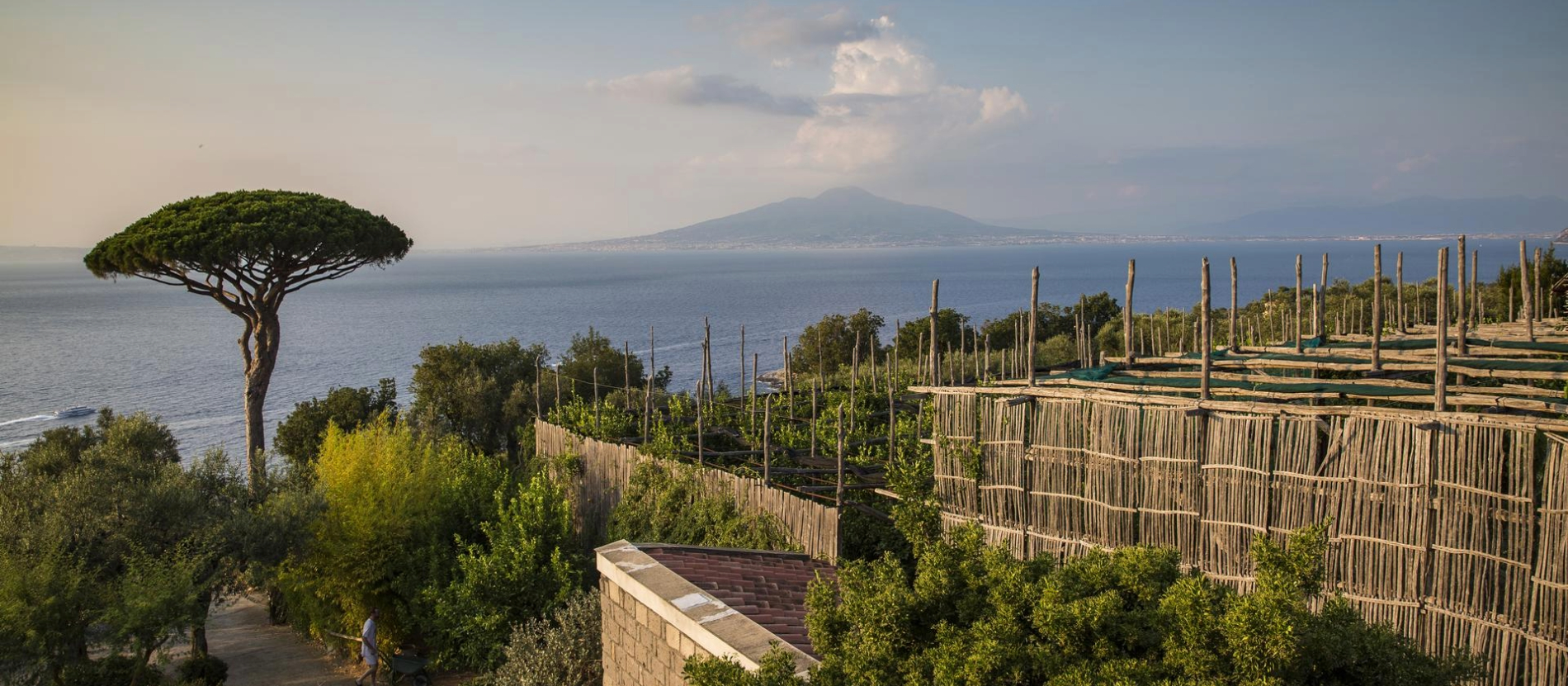 Southern Italy, Naples to Rome | National Geographic Expeditions