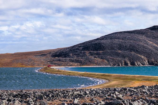 Wrangel Island Tours & Cruise: Russian Arctic Trips | National ...