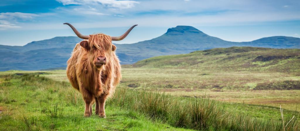 Scotland Cruise: A Scotland Travel Tour | National Geographic Expeditions