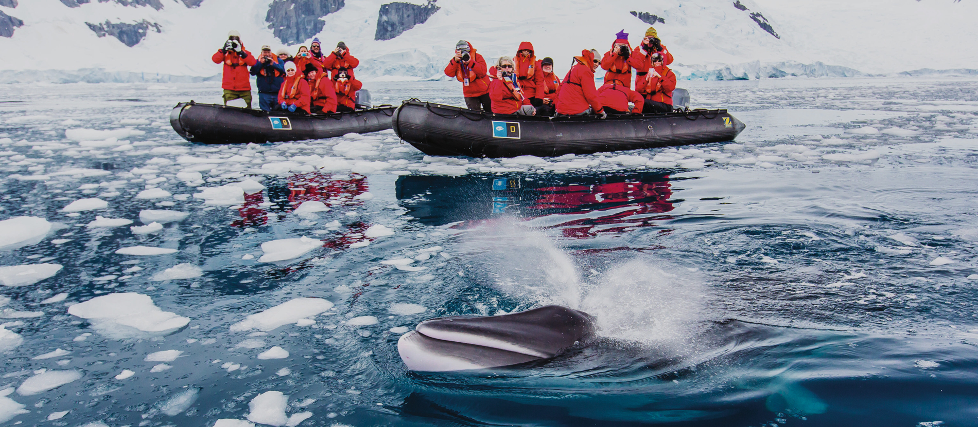 Antarctica Expedition Cruises | National Geographic Expeditions