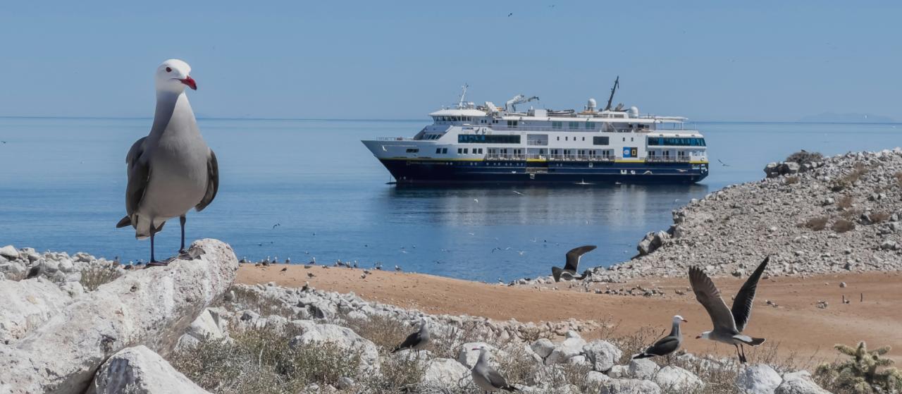 Baja California Expedition Cruises | National Geographic Expeditions