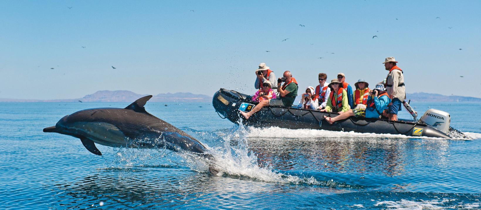 Baja California Expedition Cruises | National Geographic Expeditions