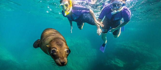 Baja California Expedition Cruises | National Geographic Expeditions