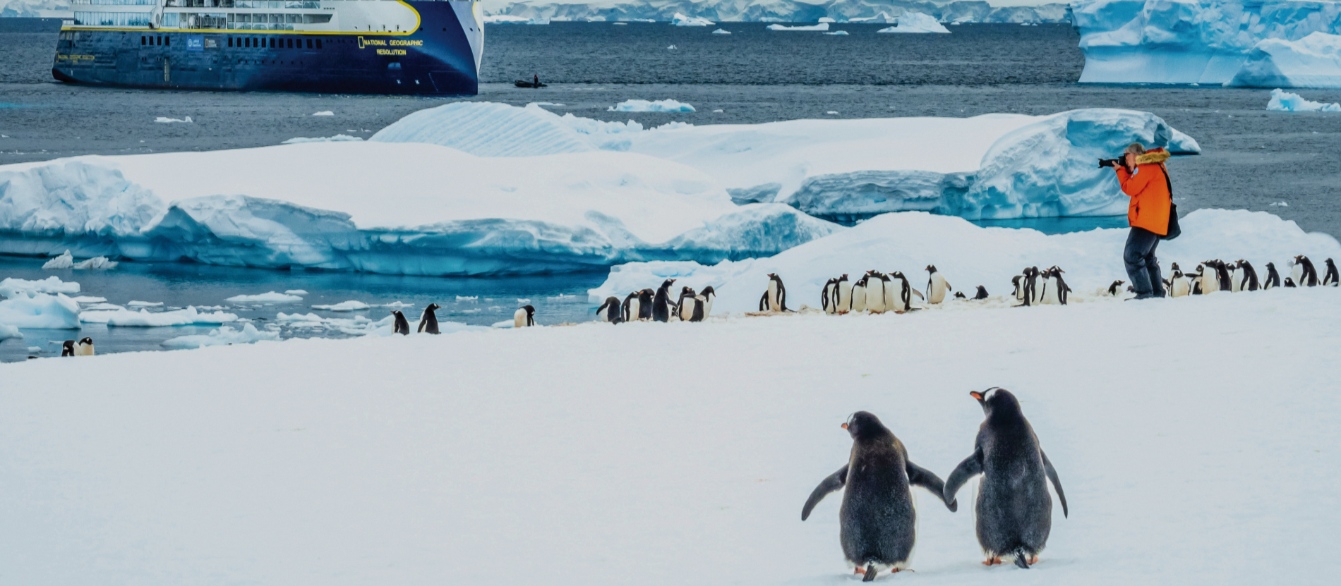 Polar Region Expedition Cruise Trips | National Geographic Expeditions