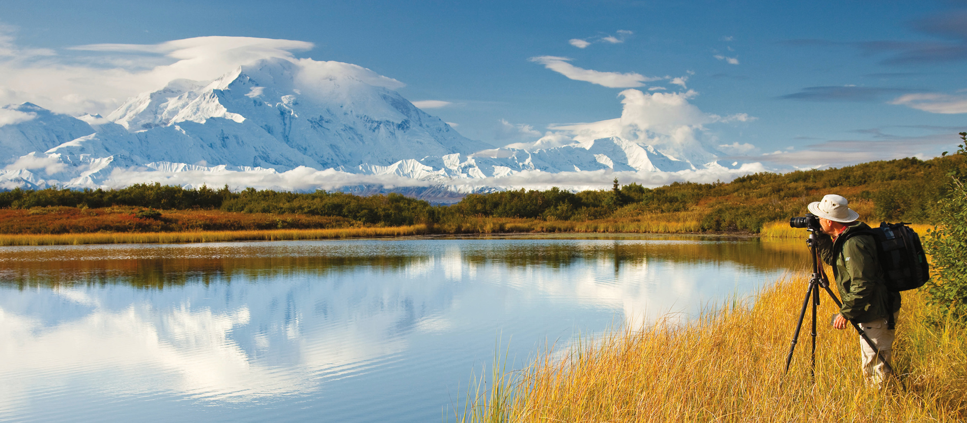 Denali National Park Pre-Voyage Extension