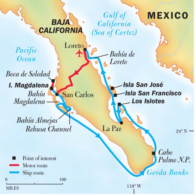Baja California & Sea of Cortez Cruise Tours | National Geographic ...