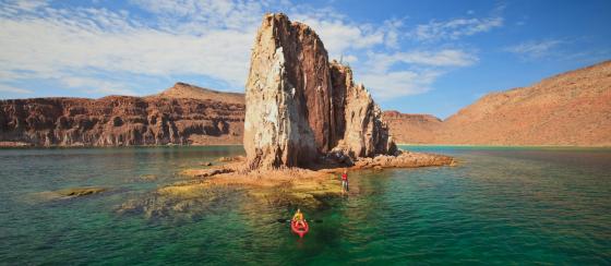Baja California Mosaic: Magdalena Bay and the Gulf of California ...