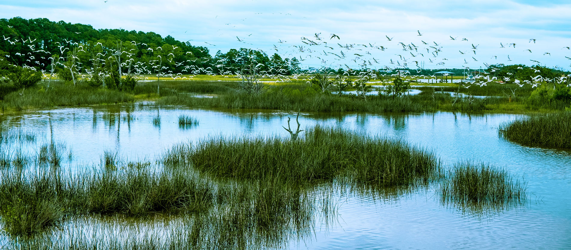 Visit South Carolina & Cruise the Low Country | National Geographic ...