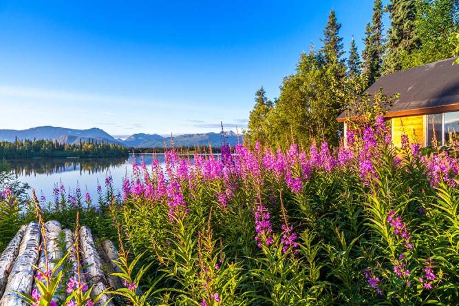 Alaska Private Guided Tours: Denali Backcountry & Anchorage | National ...