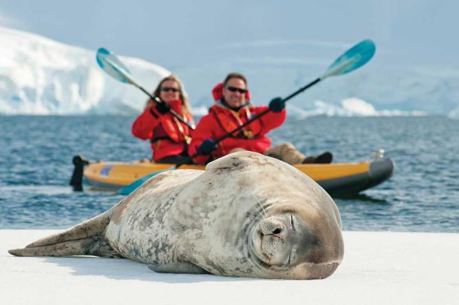 Antarctica Cruises & Vacation Packages | National Geographic Expeditions
