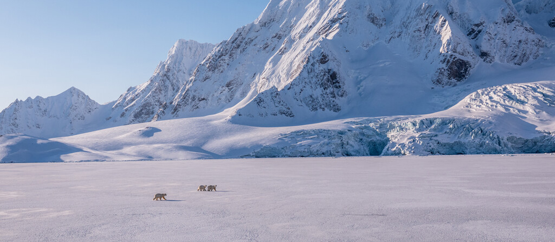 Svalbard wildlife trips 60 photos - Grandioseship.com