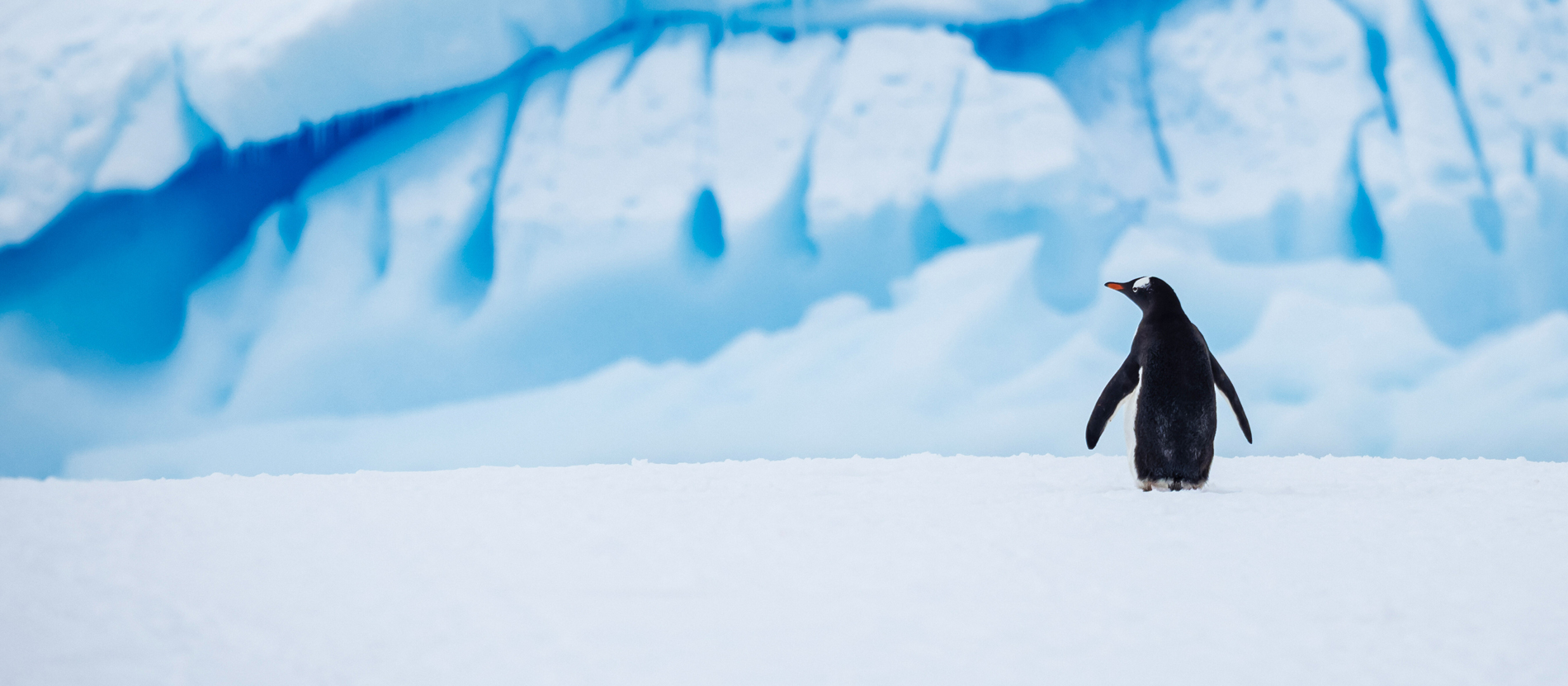 Antarctica Direct: Fly the Drake Passage 10-Day | National Geographic ...