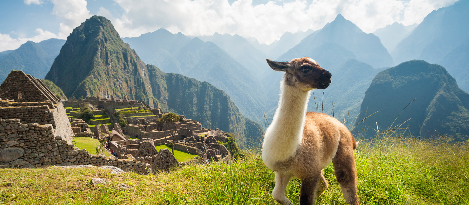 Peru Family Vacation, Tour & Travel Packages | National Geographic ...