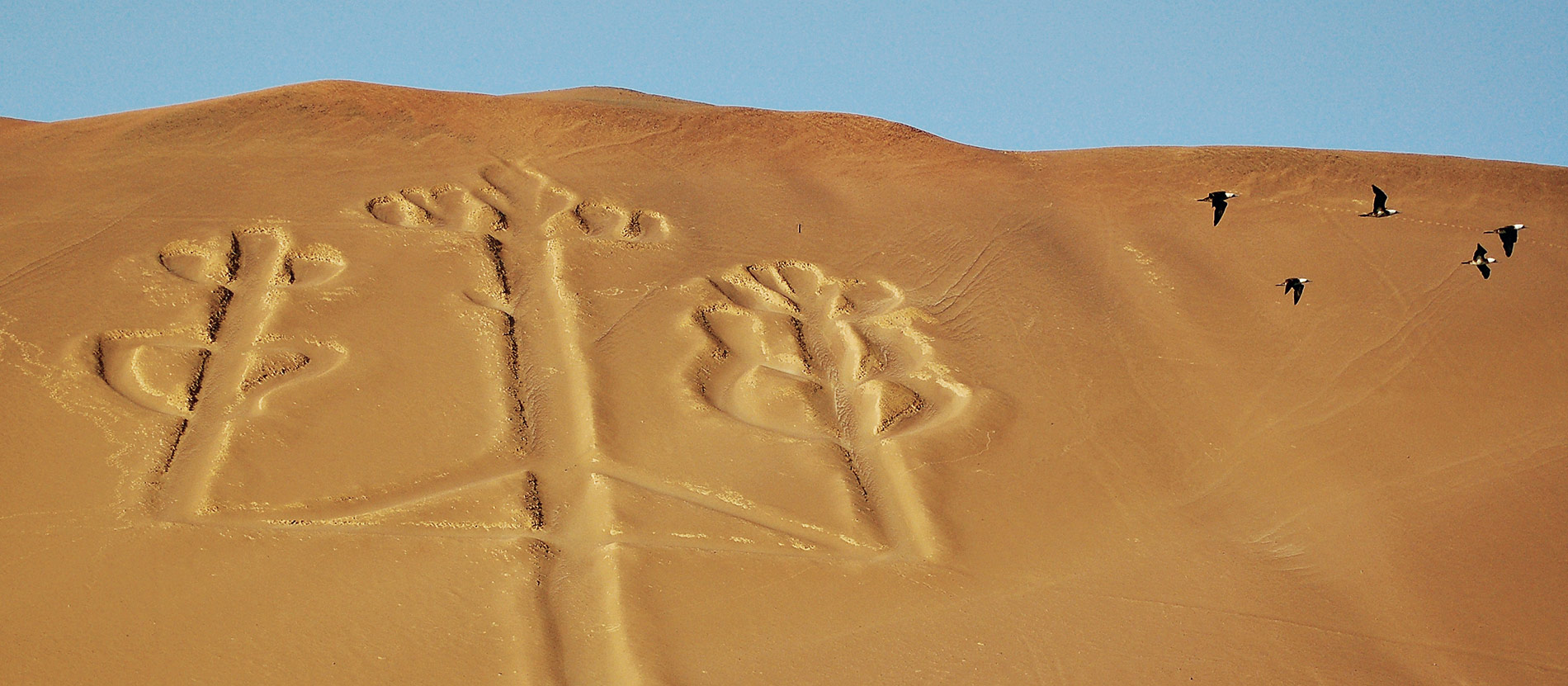 Nazca Lines & Machu Picchu Tour: Inca Tour | National Geographic ...