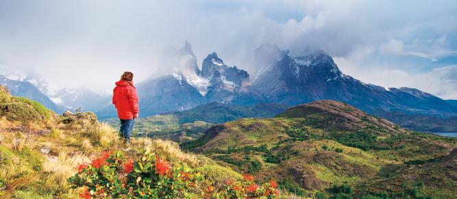 Epic Patagonia: Patagonia Forests & Staten Island Tour | National ...