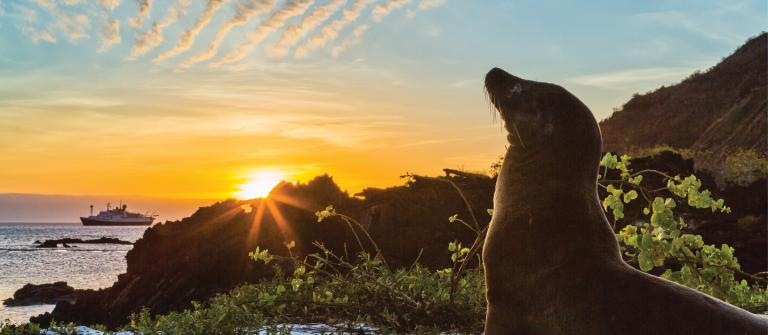 Galápagos Islands 12-Day Expedition Cruise | National Geographic ...