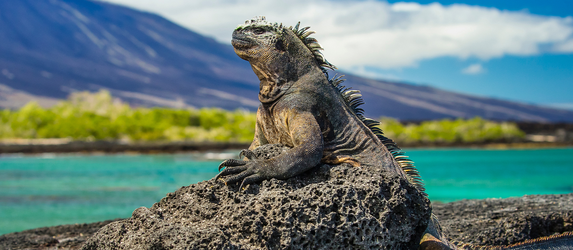 Galápagos Escape: A 7-Day Voyage | Trips | National Geographic Expeditions