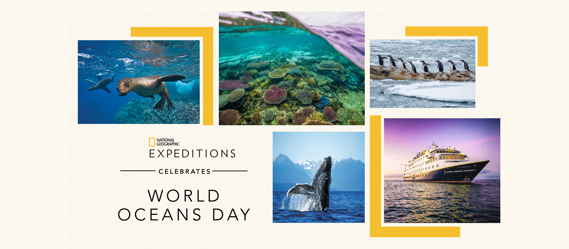 World Oceans Day | National Geographic Expeditions