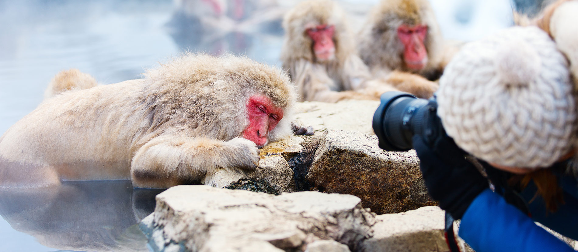 Photography Tours & Photography Workshops | National Geographic Expeditions
