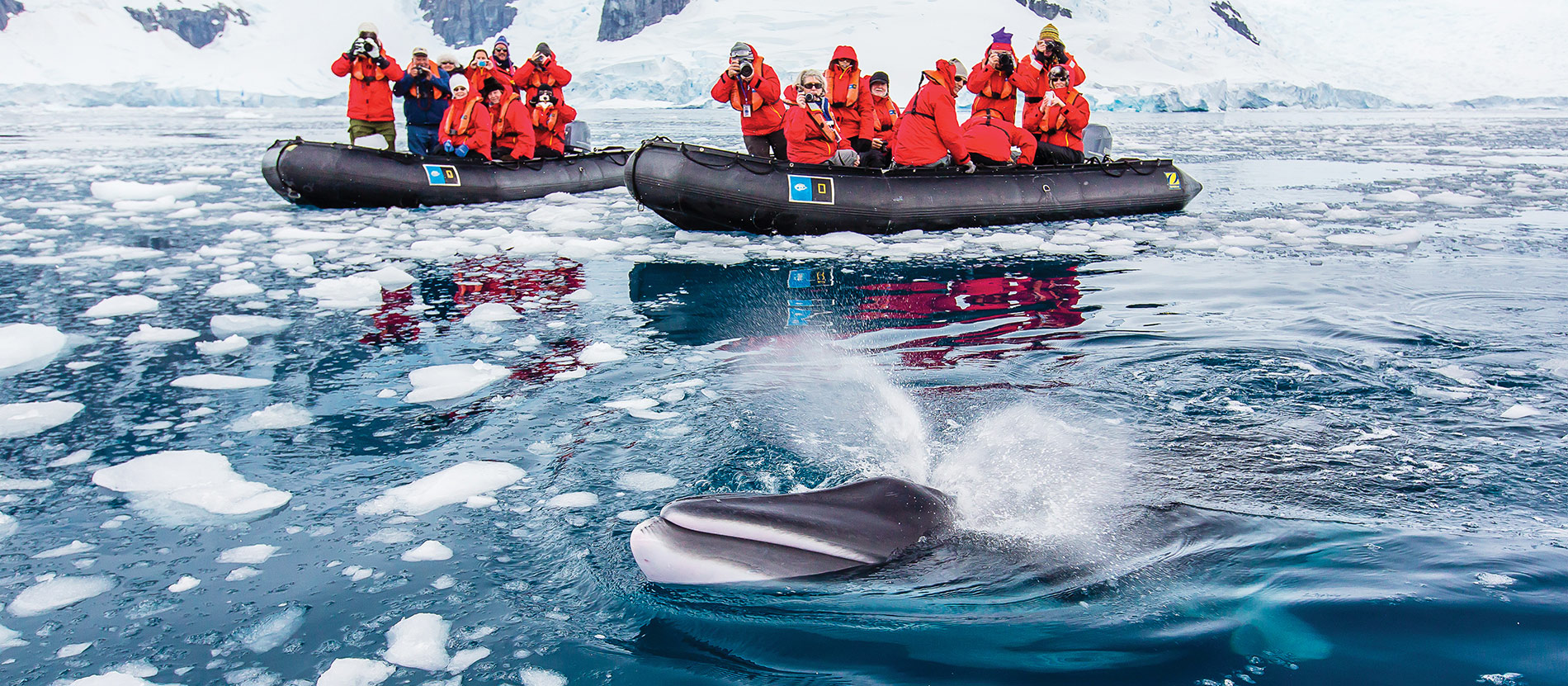 National Geographic Explorer Antarctica The White Continent Nat Geo