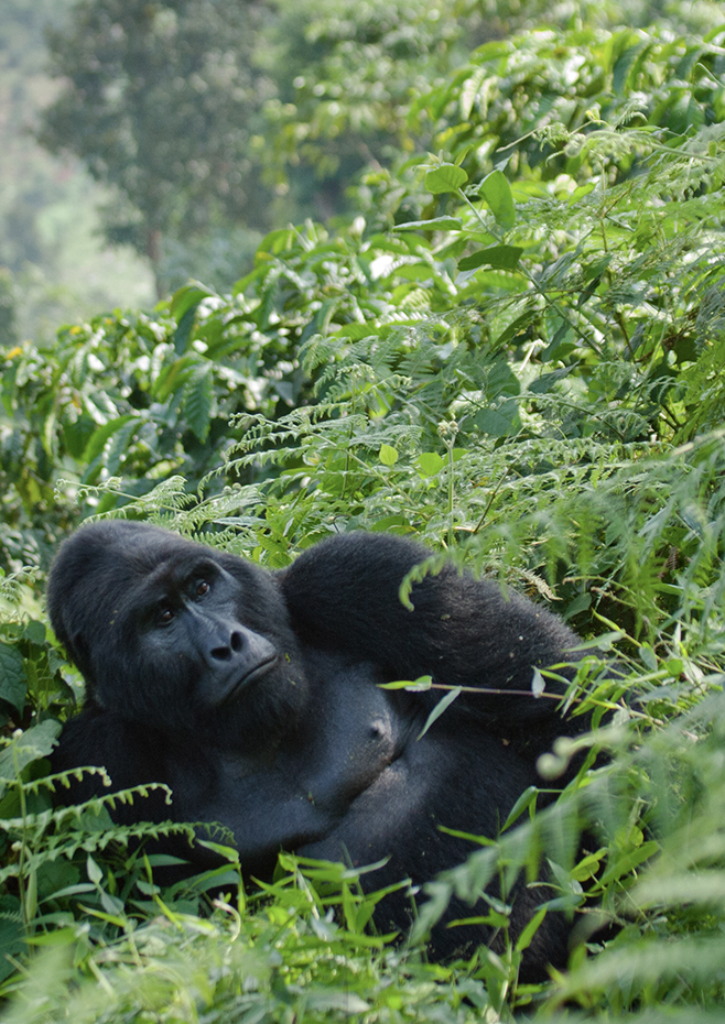 National Geographic Vacation Destinations | National Geographic Expeditions
