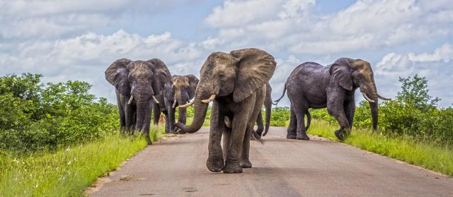 Frequently Asked Questions | Why Choose National Geographic Expeditions